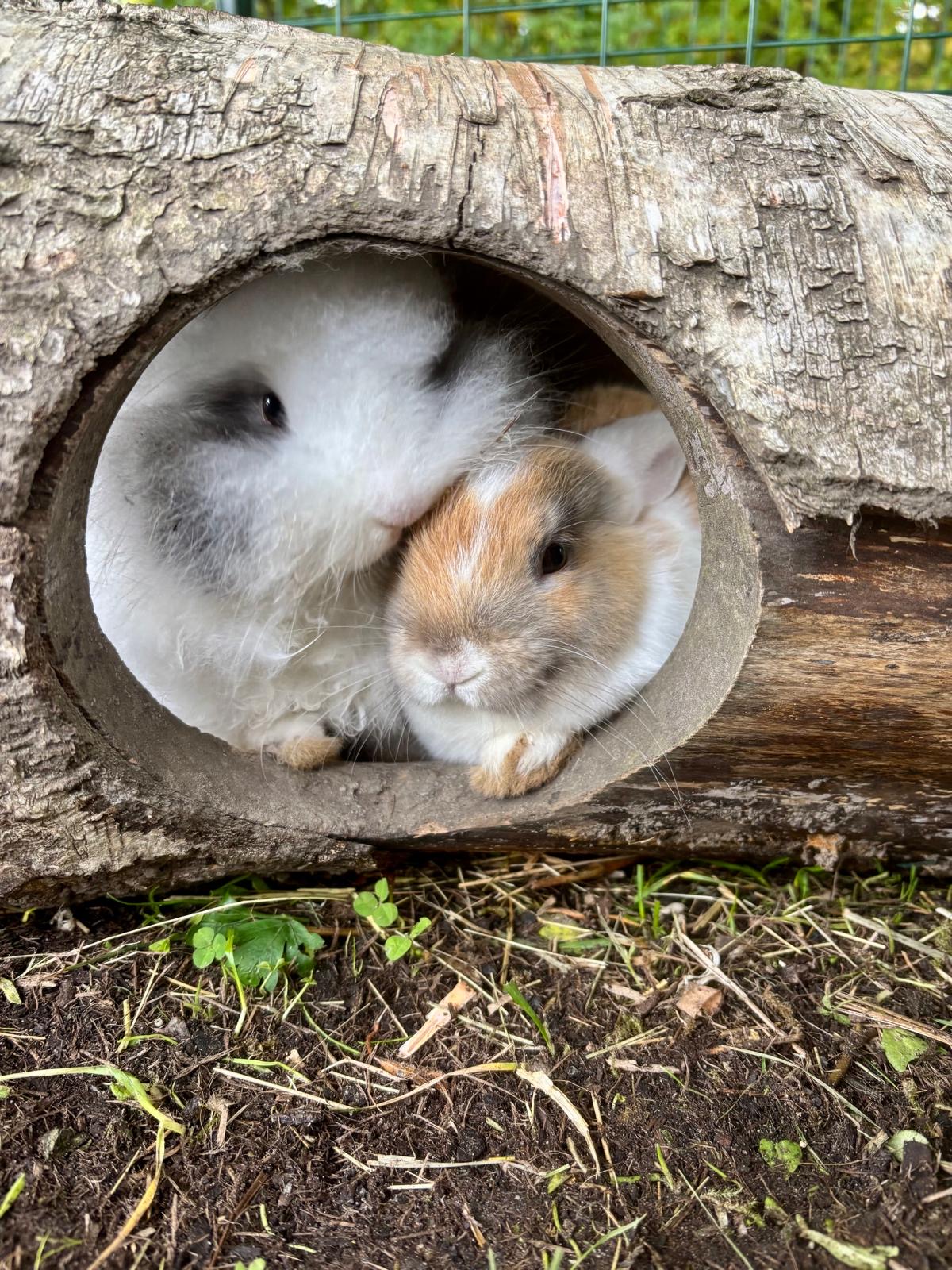 Willkommen in der Gemeinde Stadum - Gemeinde Stadum